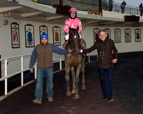 Randy Hill Thriving With Contenders on Derby Trail - BloodHorse