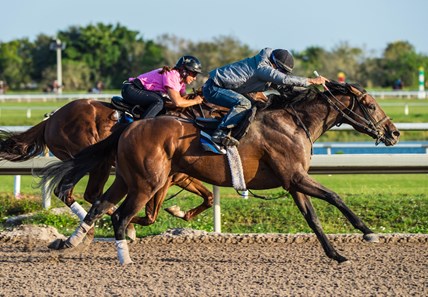 Avie's Flatter - Horse Profile - BloodHorse
