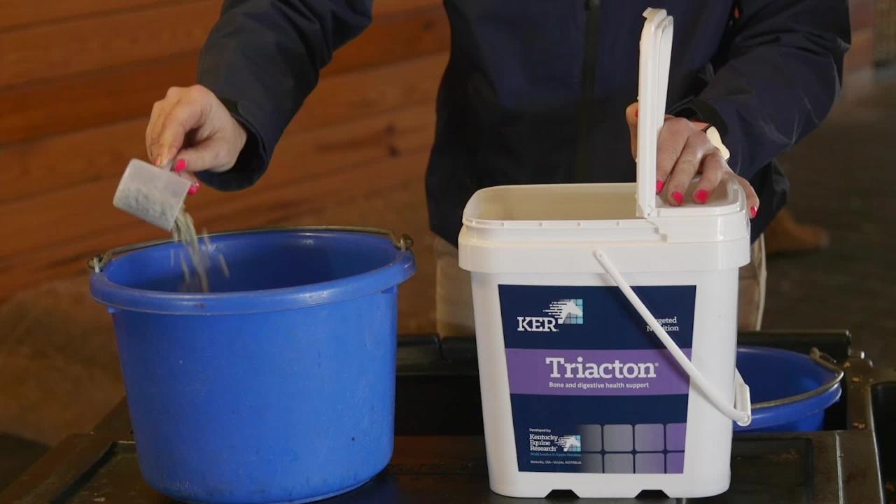 Triple Crown Winner Justify Named Horse of the Year - BloodHorse