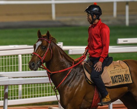 Matera Sky Preps for Centaur Stakes at Hanshin - BloodHorse