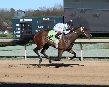 Another Rocket - Horse Profile - BloodHorse