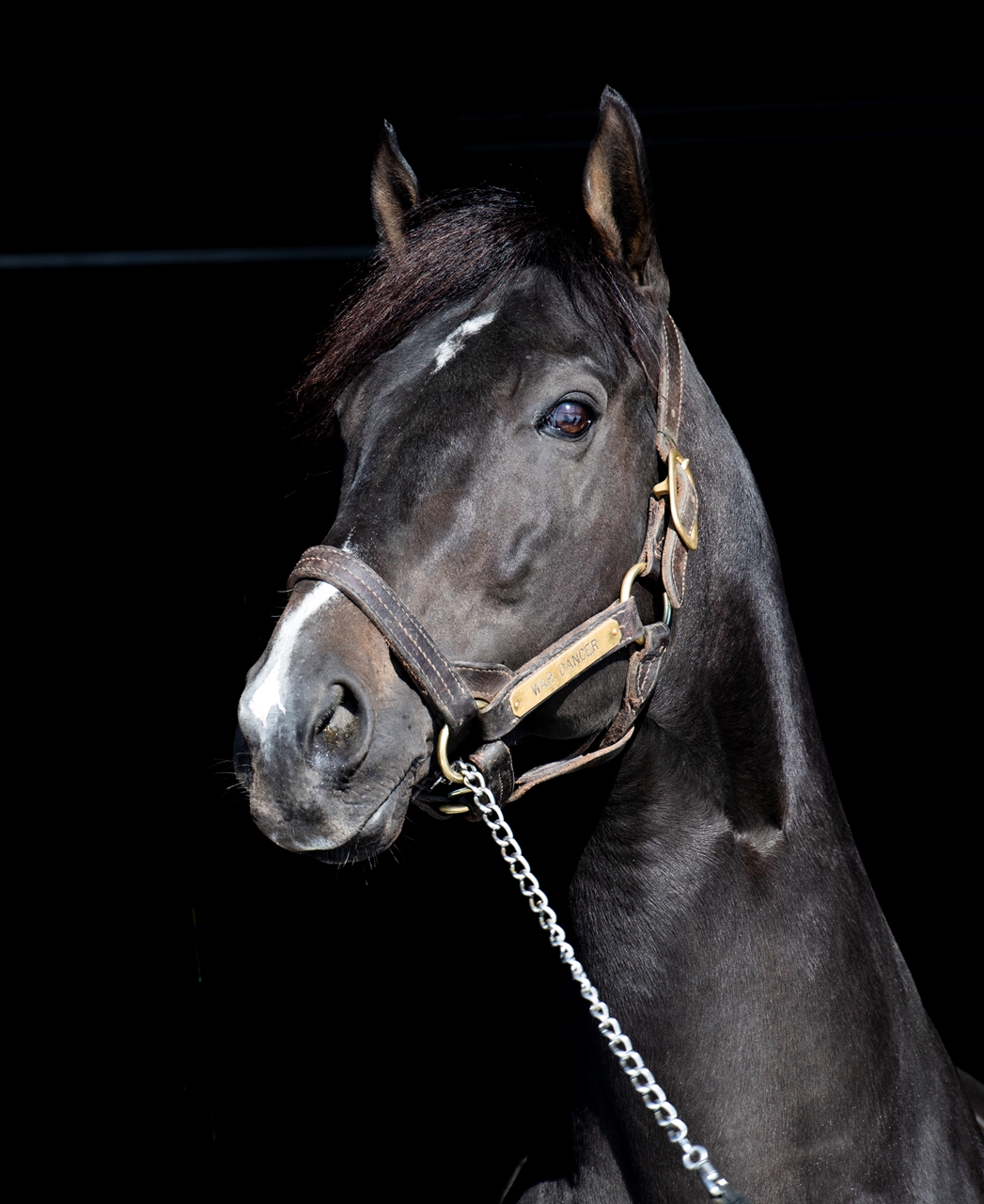 On Racing: The Unwavering Spirit of Charlie Whittingham - BloodHorse