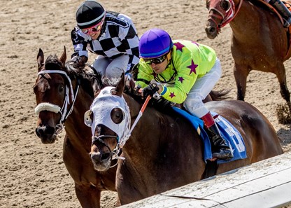 Grande Basin - Horse Profile - BloodHorse