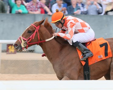 Dorrance - Horse Profile - BloodHorse