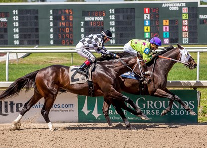 Grande Basin - Horse Profile - BloodHorse