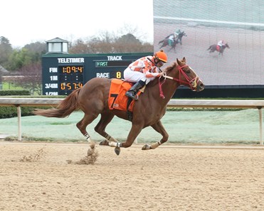 Dorrance - Horse Profile - BloodHorse