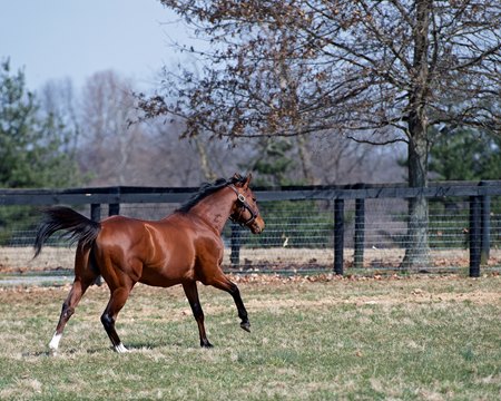 Take a Virtual Tour of Mill Ridge Farm - BloodHorse