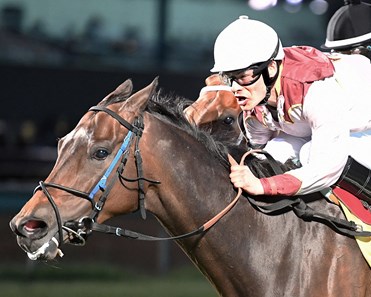 Texas Belle - Horse Profile - BloodHorse