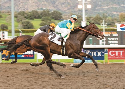 Pioneerof the Nile - Horse Profile - BloodHorse