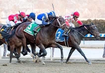 Haikal - Horse Profile - BloodHorse