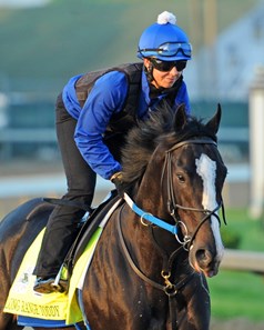 Long Range Toddy - Horse Profile - BloodHorse