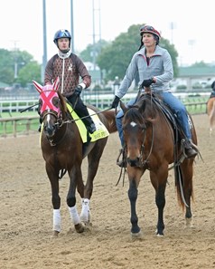 Master Fencer (JPN) - Horse Profile - BloodHorse