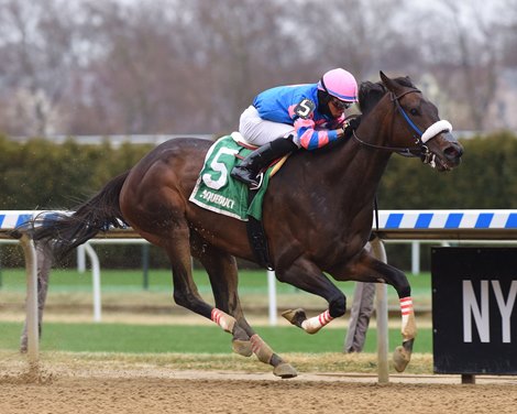 Ruffian Win Would Be Picture Perfect for Trainer Martin - BloodHorse