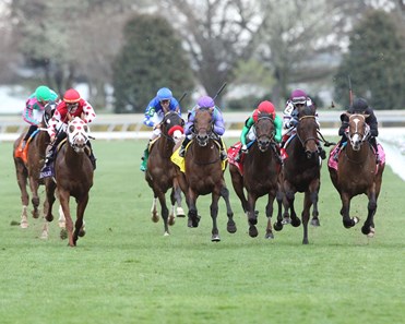 Avie's Flatter - Horse Profile - BloodHorse