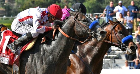 Roadster - Horse Profile - BloodHorse