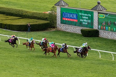 Rushing Fall - Horse Profile - BloodHorse