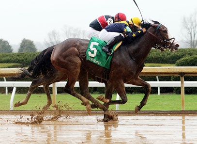 Fancy Dress Party - Horse Profile - BloodHorse