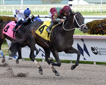 Great Success - Horse Profile - BloodHorse
