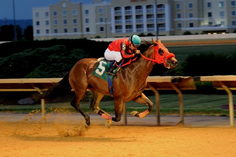 Aaron's Way Moved to West Virginia's Bybee Road Farm - BloodHorse