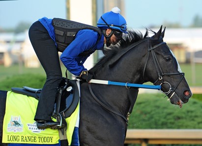 Long Range Toddy - Horse Profile - BloodHorse
