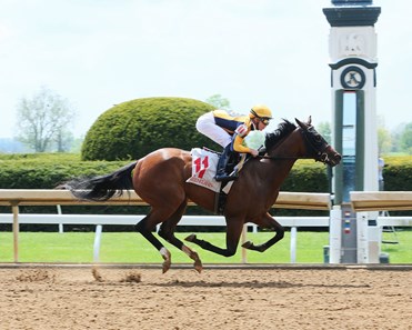 Fast Anna - Horse Profile - BloodHorse