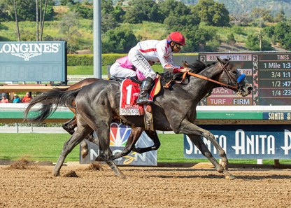 Roadster - Horse Profile - BloodHorse