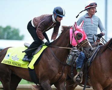 Master Fencer (JPN) - Horse Profile - BloodHorse