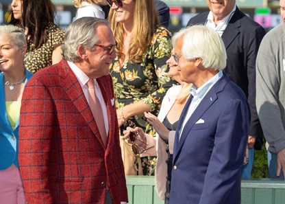 Roadster - Horse Profile - BloodHorse