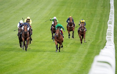 Cape of Good Hope (IRE) - Horse Profile - BloodHorse