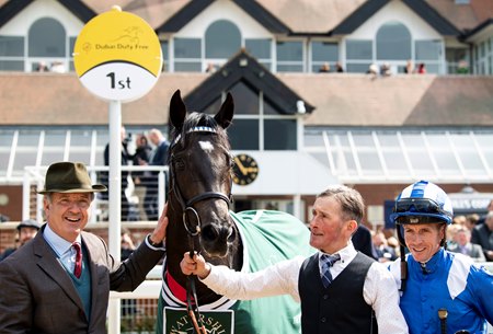 Shadwell Releases Fees for Nunnery Stud Roster - BloodHorse