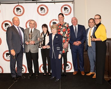 Diversify - Horse Profile - BloodHorse