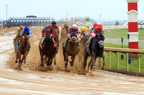 Horse Racing | Bleacher Report | Latest News, Rumors, Scores and Highlights