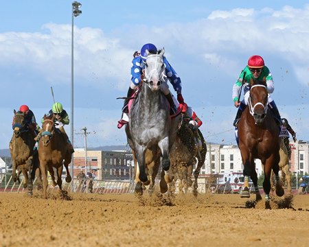 Charles Town Races Again Breaks Handle Records - BloodHorse