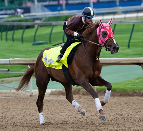Master Fencer a Dream Come True for Owner Yoshizawa - BloodHorse