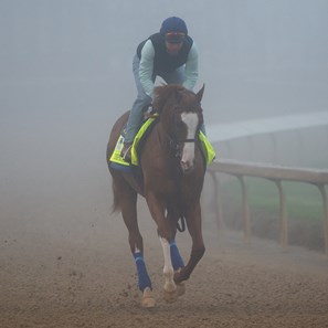 Improbable - Horse Profile - BloodHorse