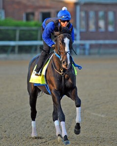 Long Range Toddy - Horse Profile - BloodHorse