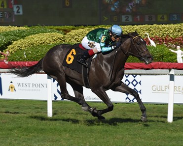 Abyssinian - Horse Profile - BloodHorse