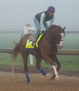 Improbable - Horse Profile - BloodHorse