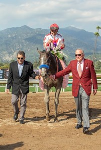 Roadster - Horse Profile - BloodHorse