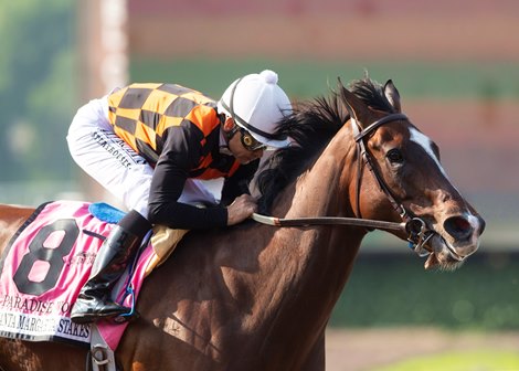 Paradise Woods a Standout in Short Santa Maria Field - BloodHorse