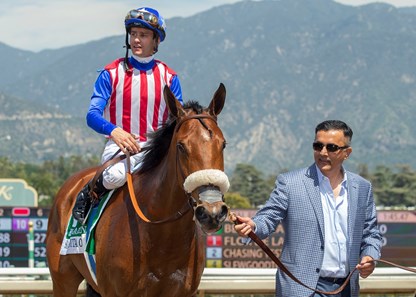 Bellafina - Horse Profile - BloodHorse