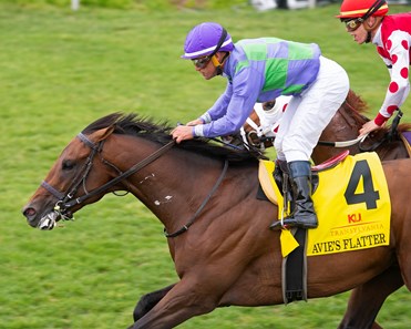 Avie's Flatter - Horse Profile - BloodHorse