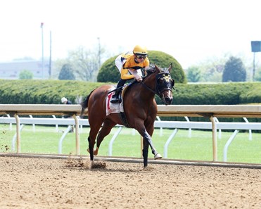 Fast Anna - Horse Profile - BloodHorse