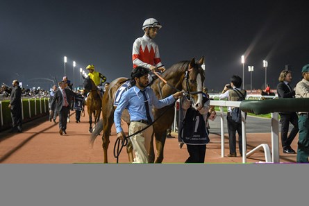 Suave Richard (JPN) - Horse Profile - BloodHorse