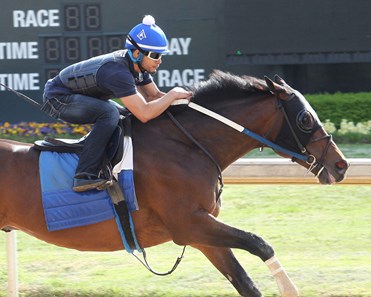 Lookin At Lee - Horse Profile - BloodHorse