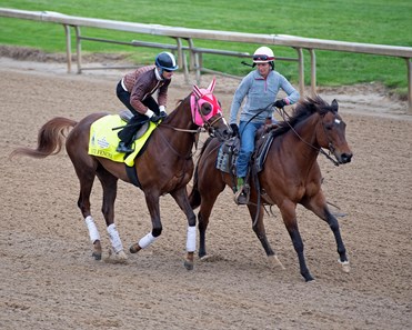 Master Fencer (JPN) - Horse Profile - BloodHorse