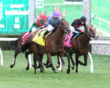 Avie's Flatter - Horse Profile - BloodHorse