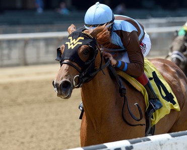 Aurelia Garland - Horse Profile - BloodHorse