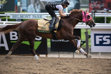 Master Fencer (JPN) - Horse Profile - BloodHorse