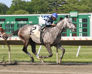 Sunny Ridge - Horse Profile - BloodHorse